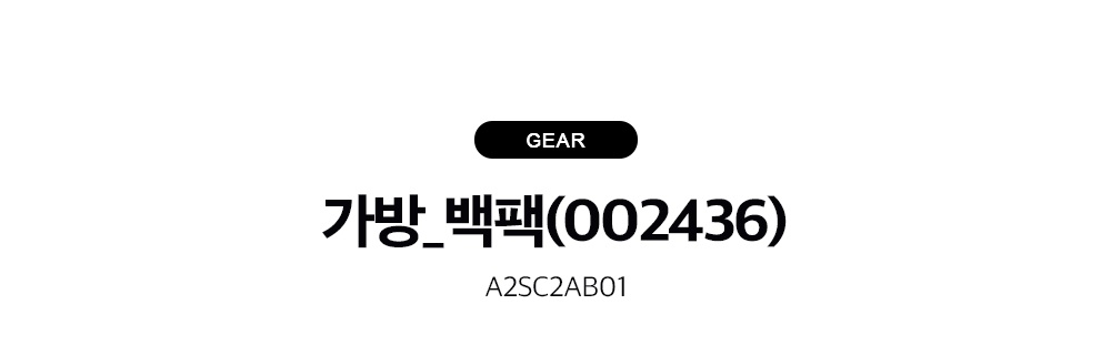 [아레나공식] 팀 백팩 A2SC2AB01GRY - 현대Hmall